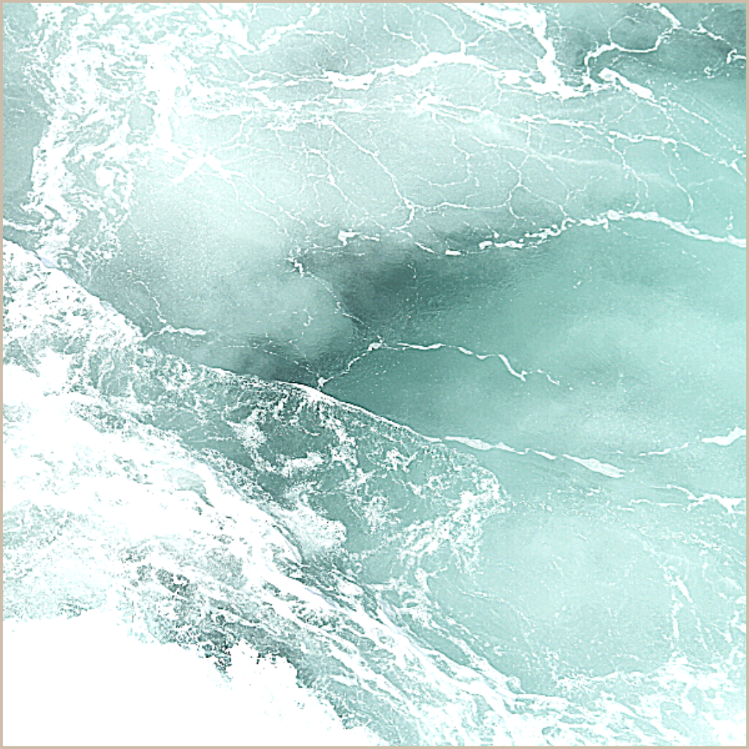 Bedaub – Koinophilia